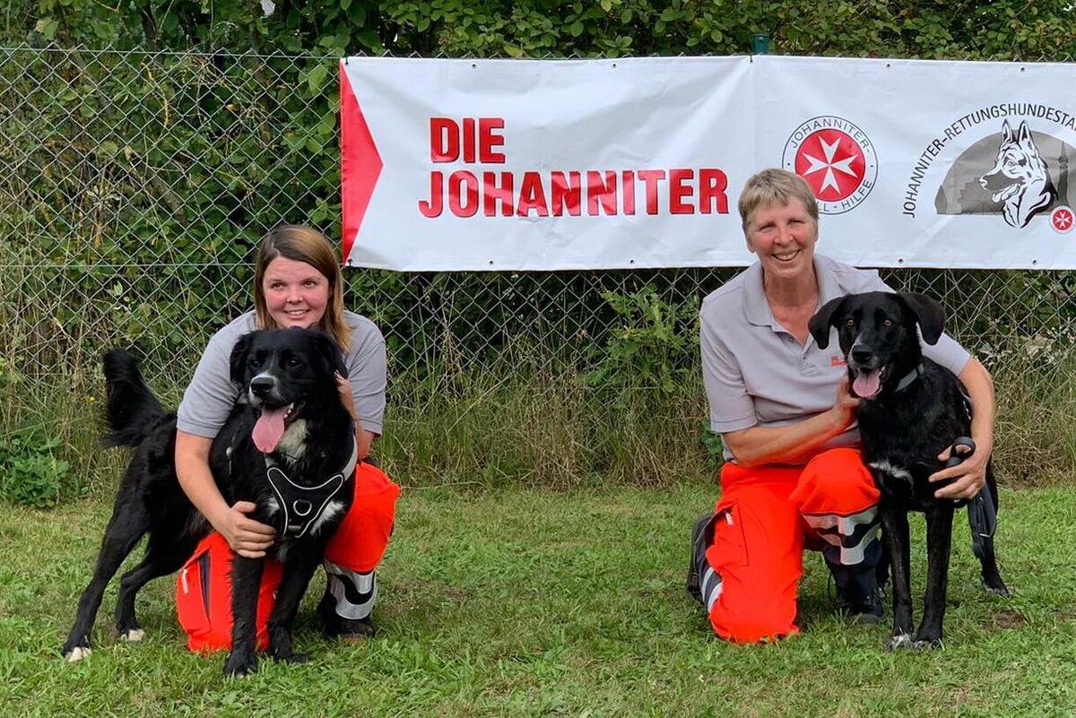 Ein Eignungstest für den Hund