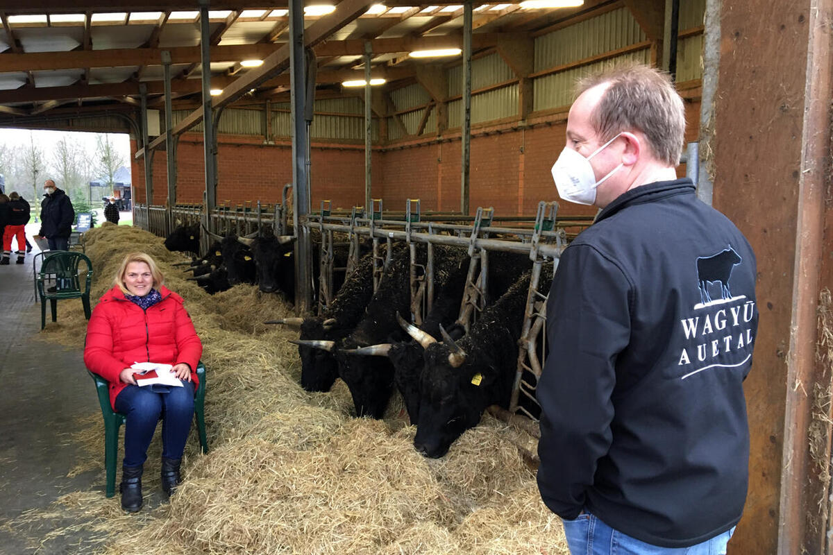 Impfen auf dem Rinderhof