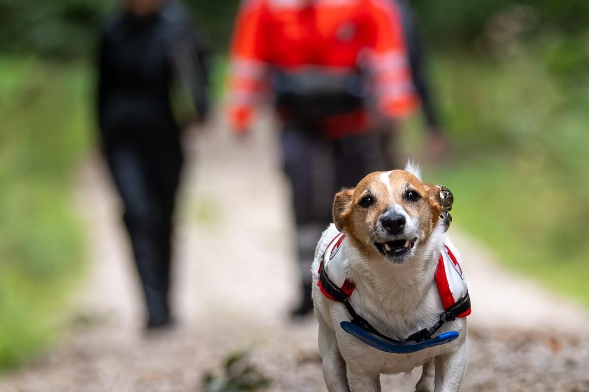 Training für Mensch und Hund