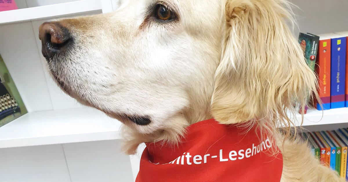 Johanniter-Lesehunde in Brandenburg