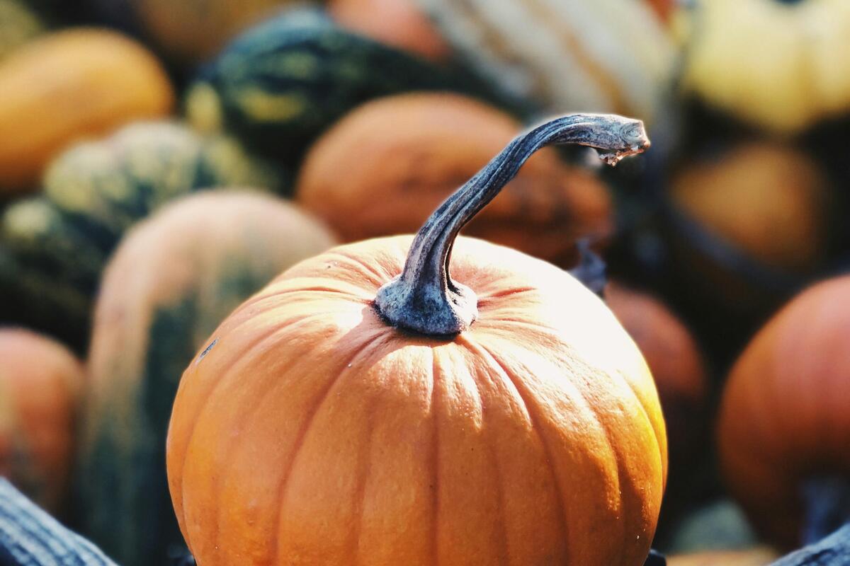 Der Herbst ist da!