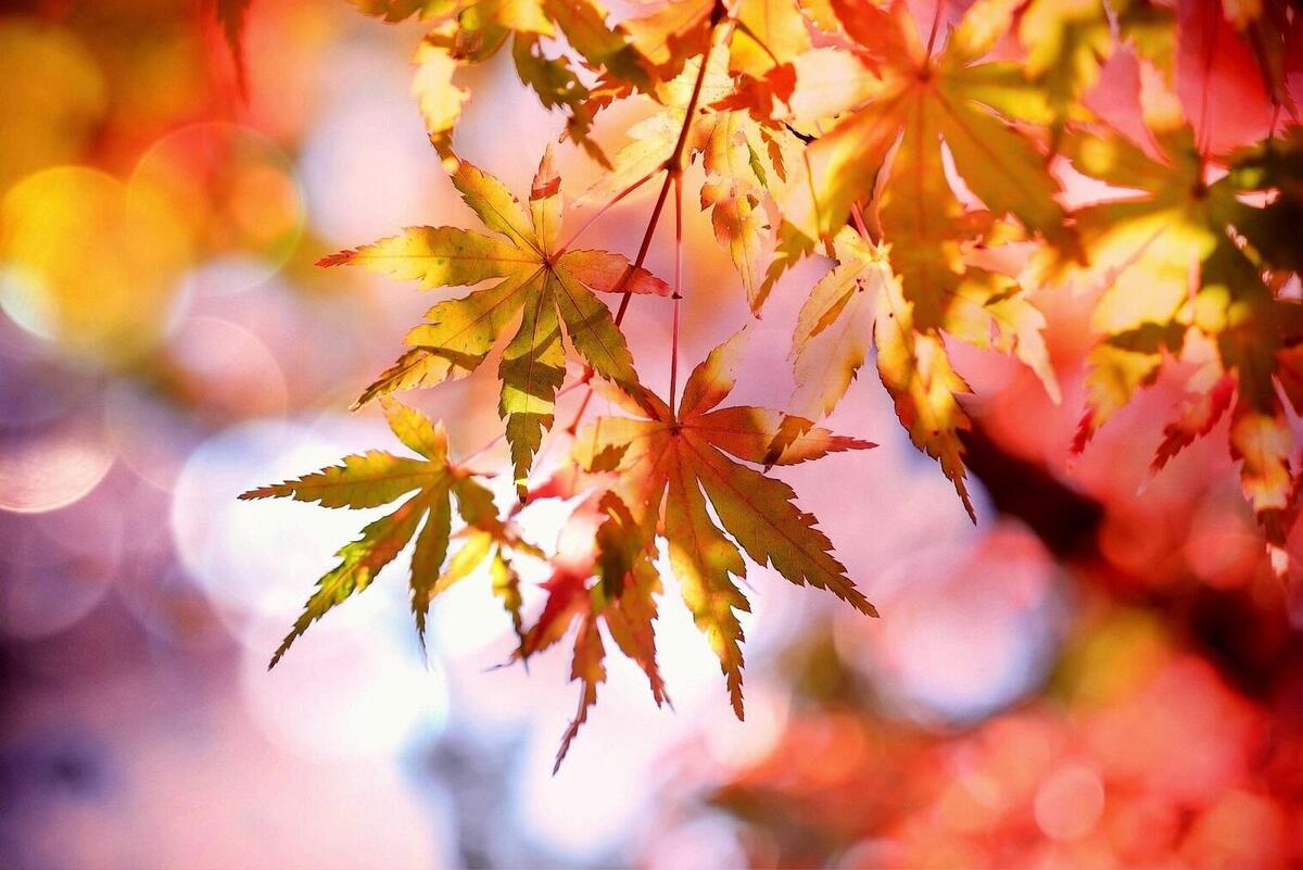Herbstferien im Johanniter-Zelt der Möglichkeiten