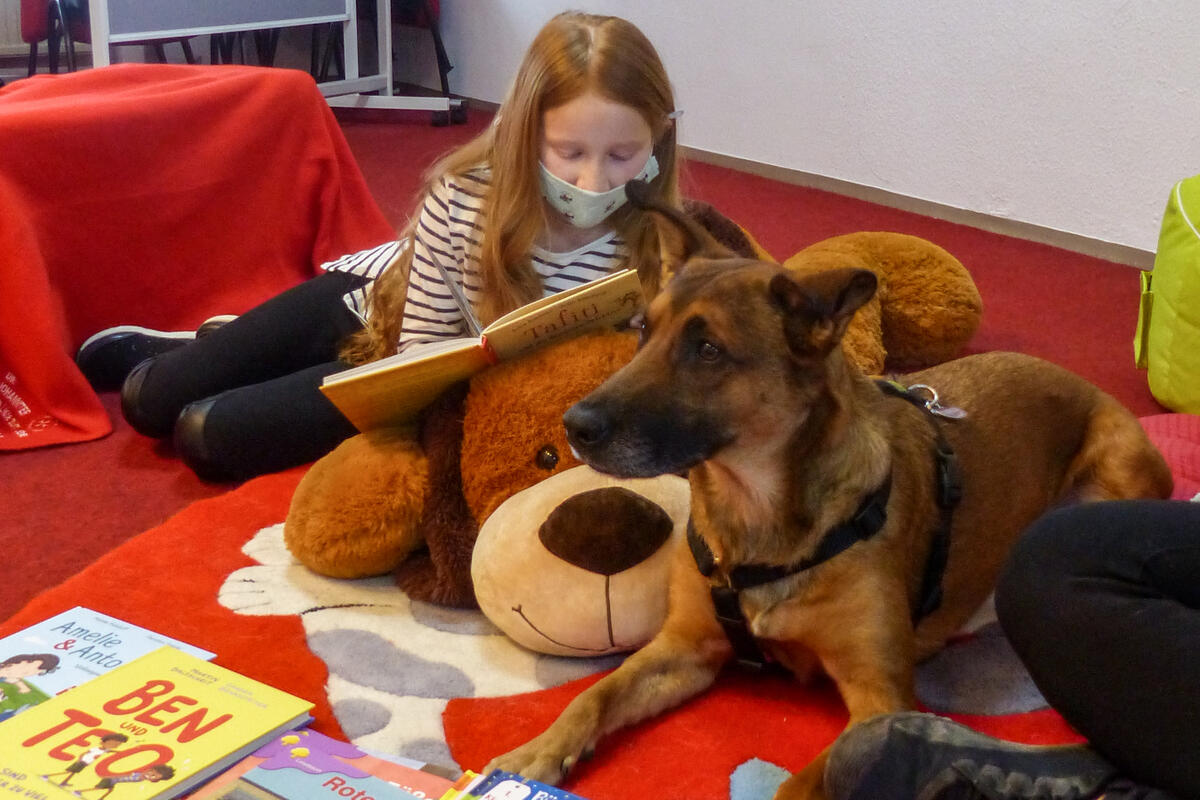 Lesehunde Oberfranken